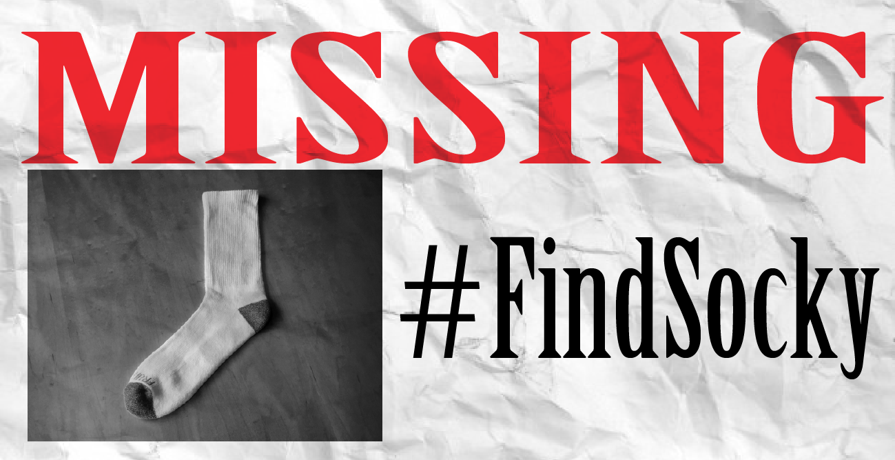 Help Us Find Socky - AM&M Appliance Services